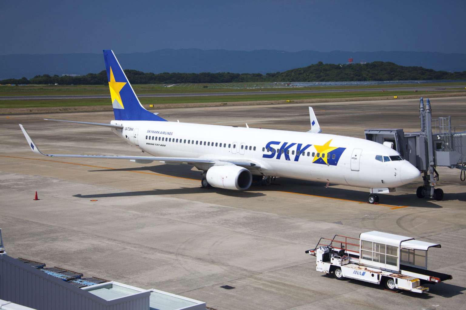 History - Aviation Capital Group